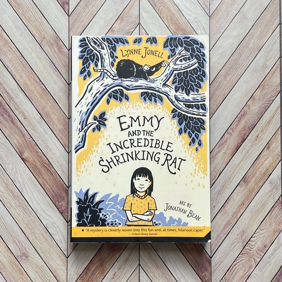 Accents | Used Childrens Paperback Book Emmy And The Incredible ...